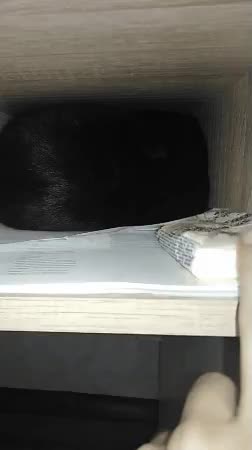 wakey wakey | Scrolller