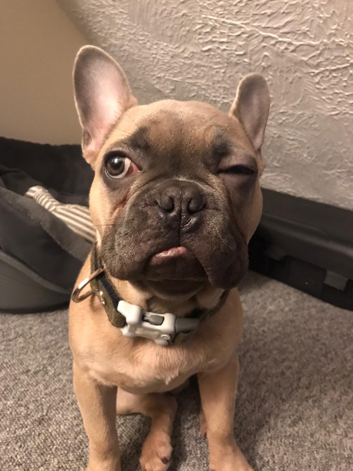 Wakey wakey face | Scrolller