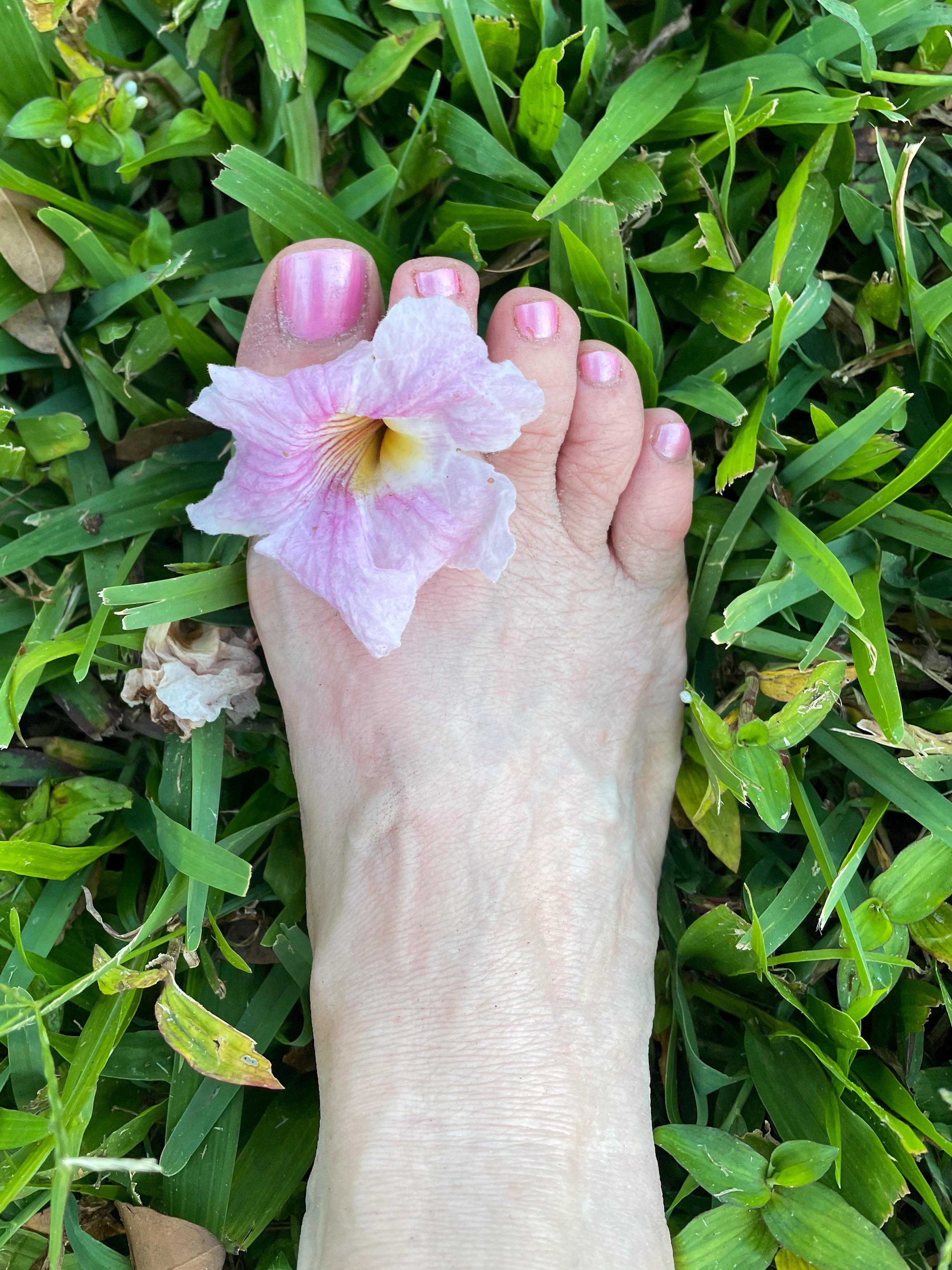 Walking barefoot always grounds me. 🌸🦶🏻 | Scrolller