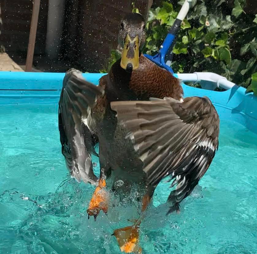 Walking on water | Scrolller