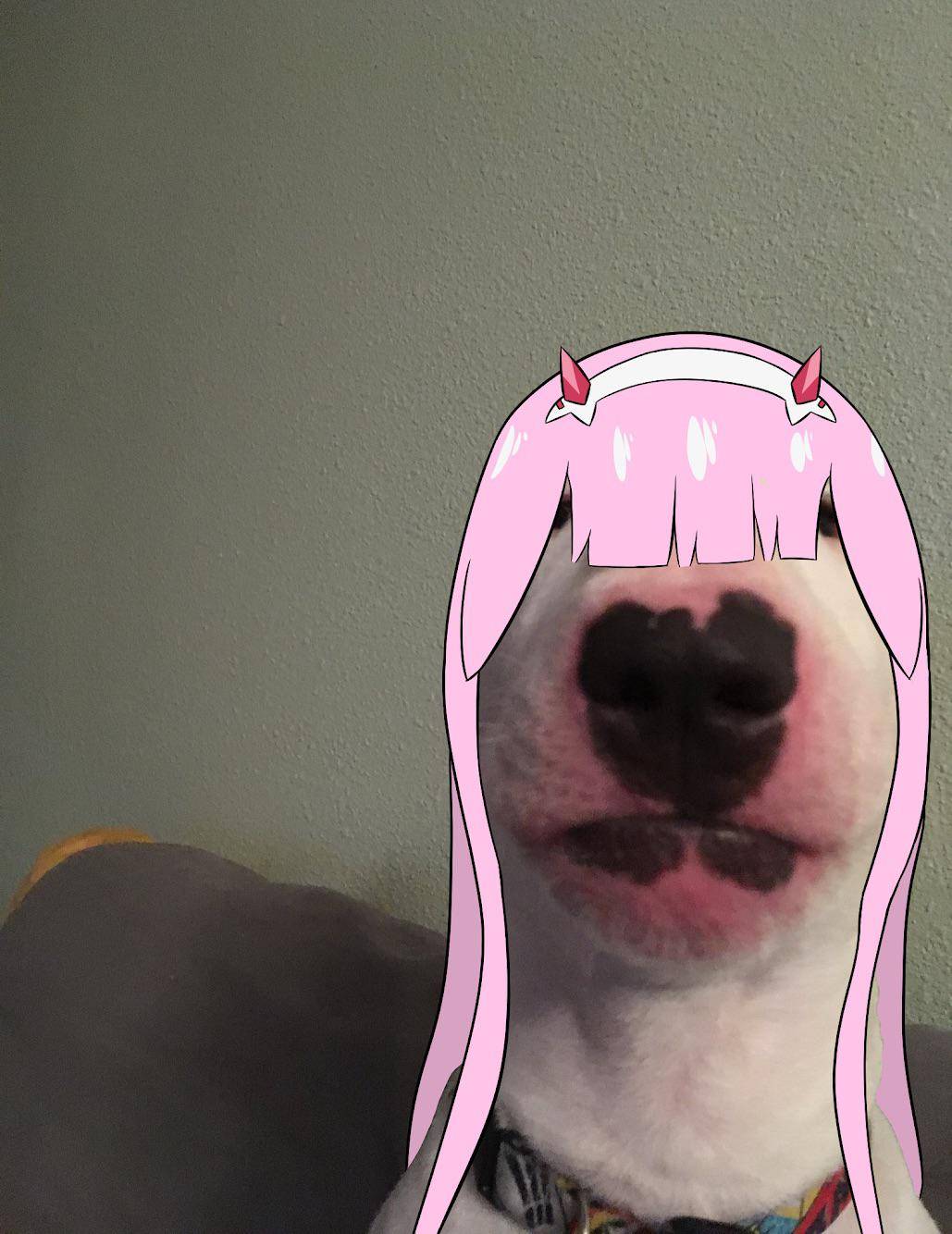 Walter “Ace Pilot” Clements | Scrolller