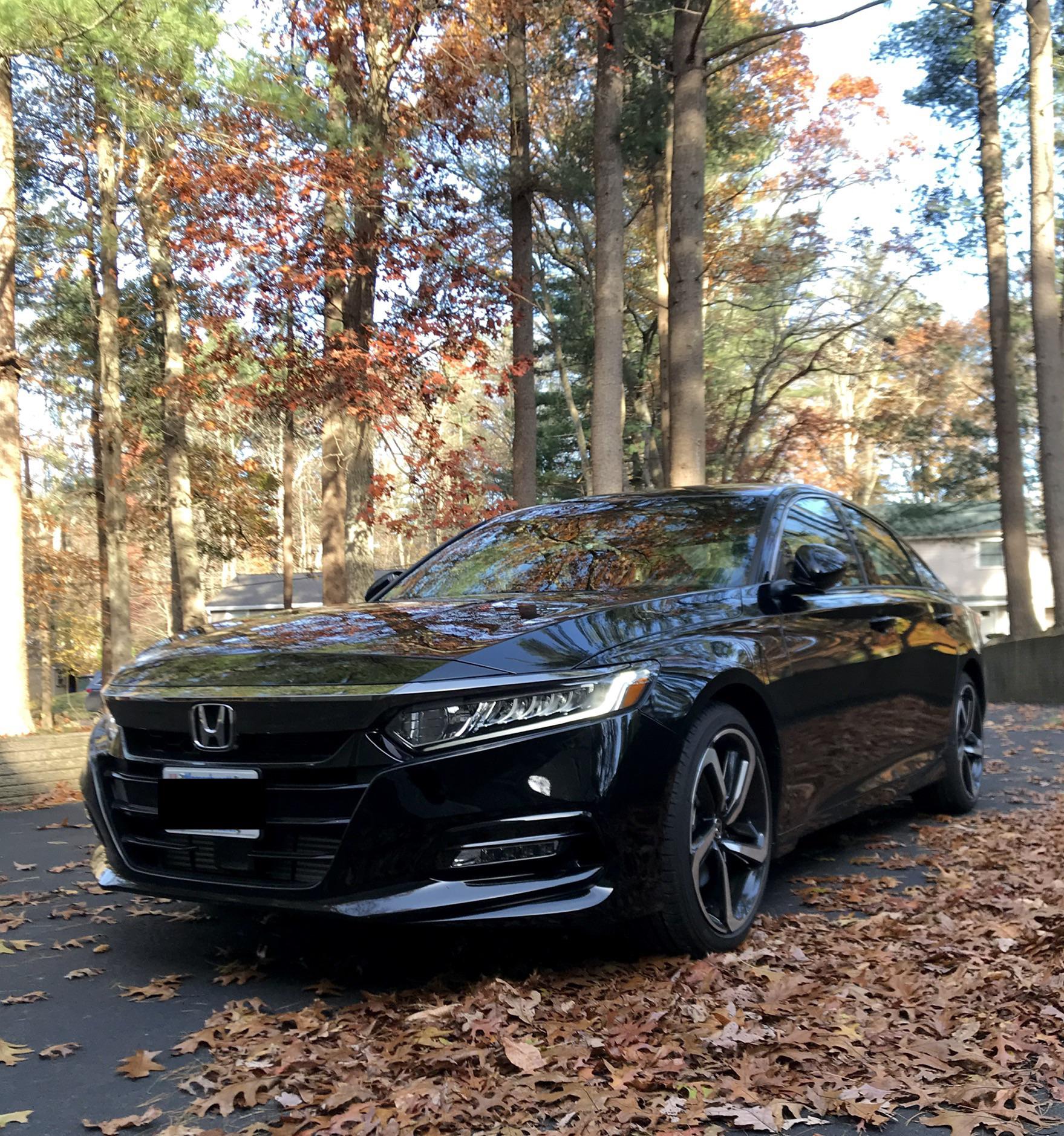 Wanda the Honda | Scrolller