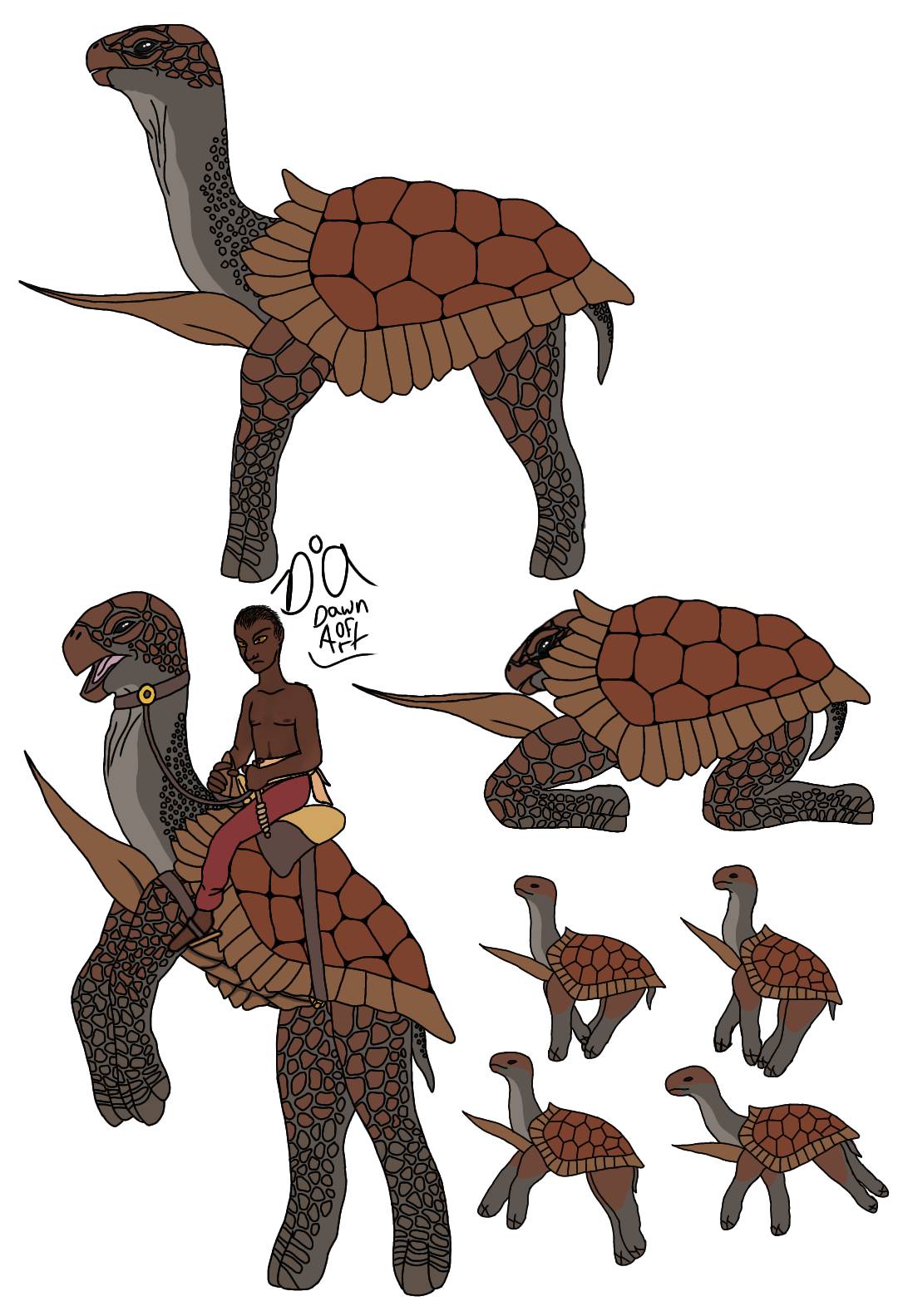 Wandering Tortoise (more info in comments) | Scrolller