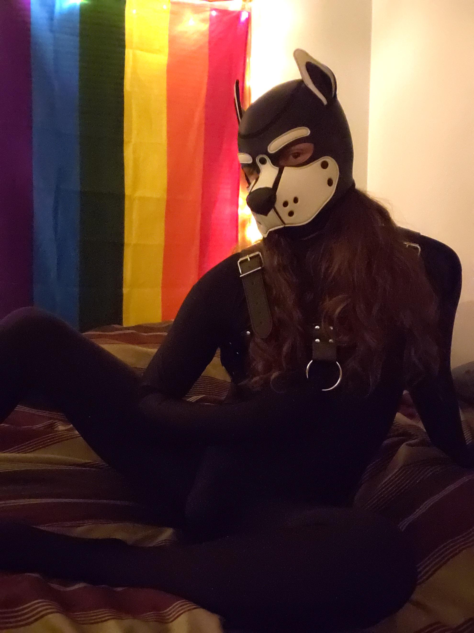 Wanna tug on my harness? | Scrolller