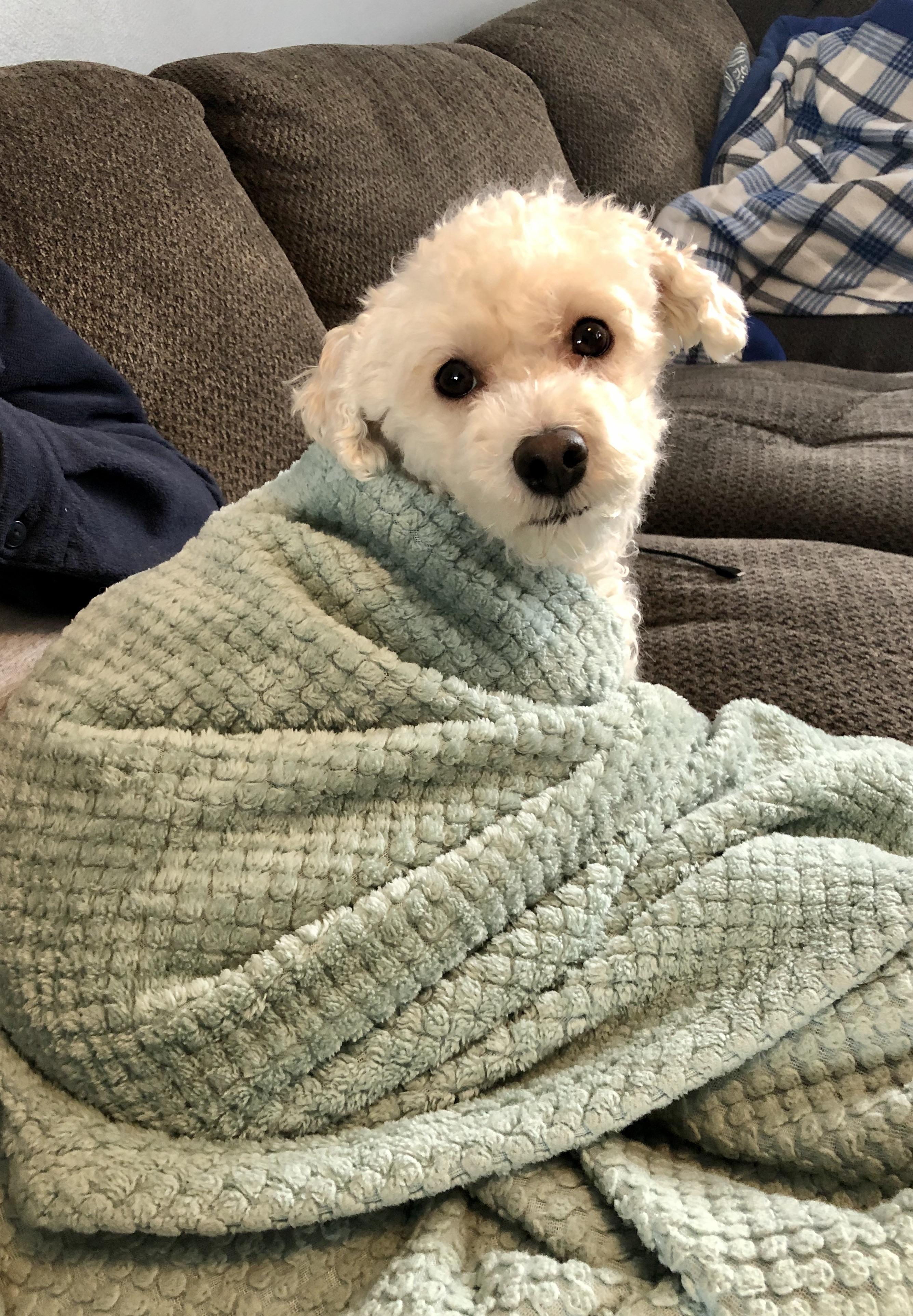 Warm and cozy Ted | Scrolller