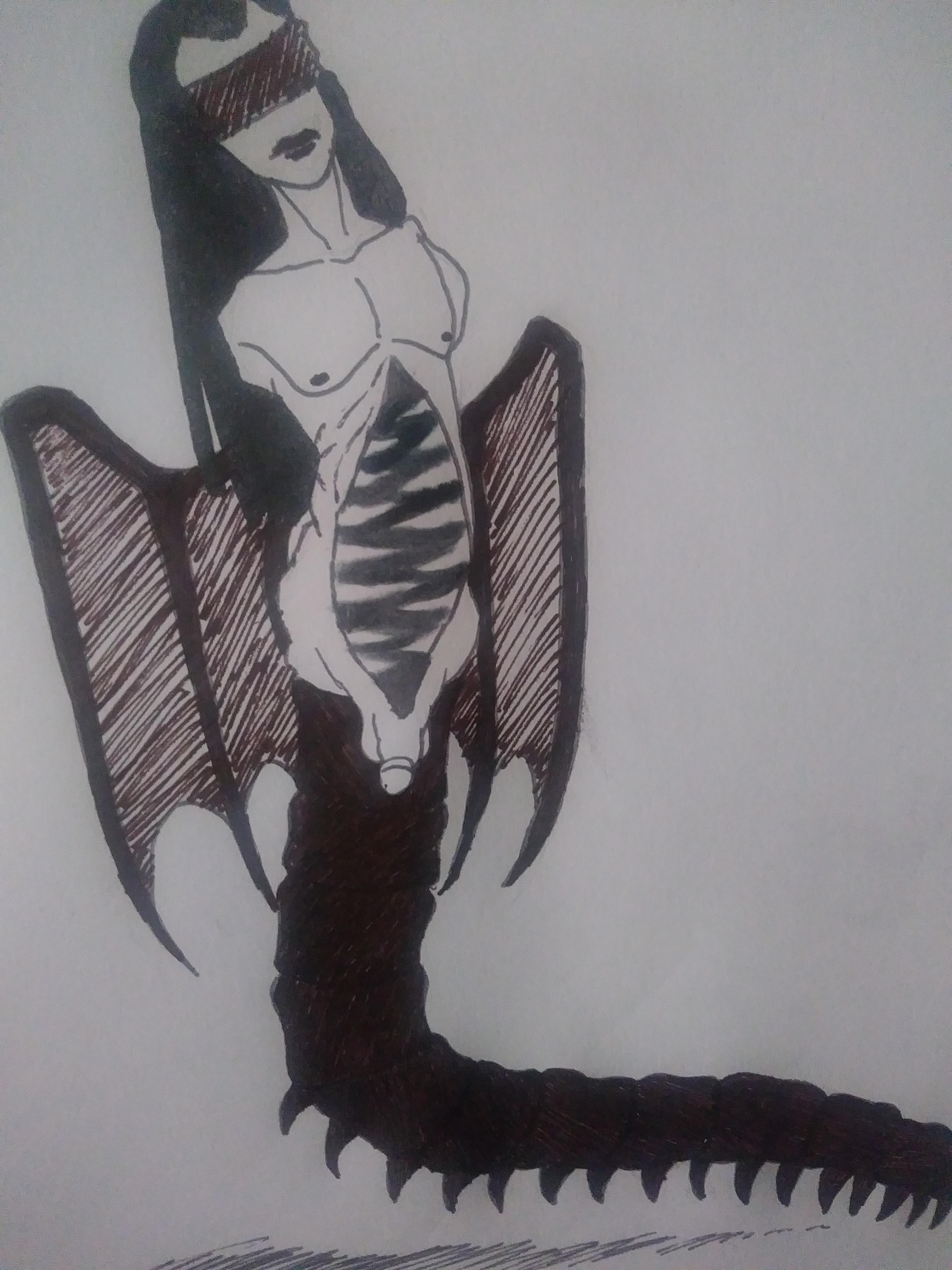 Warmup drawing :) | Scrolller