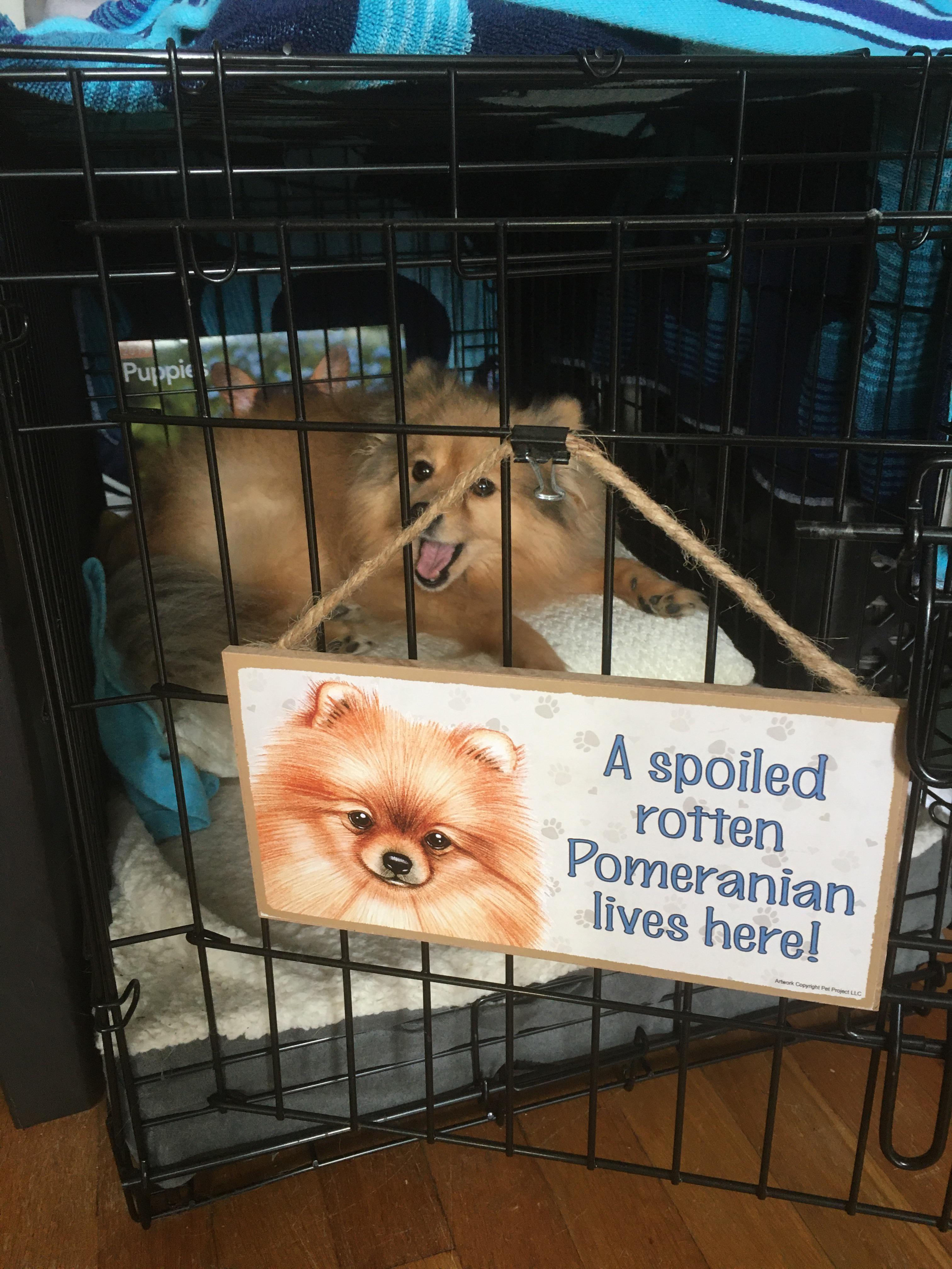 warning: | Scrolller