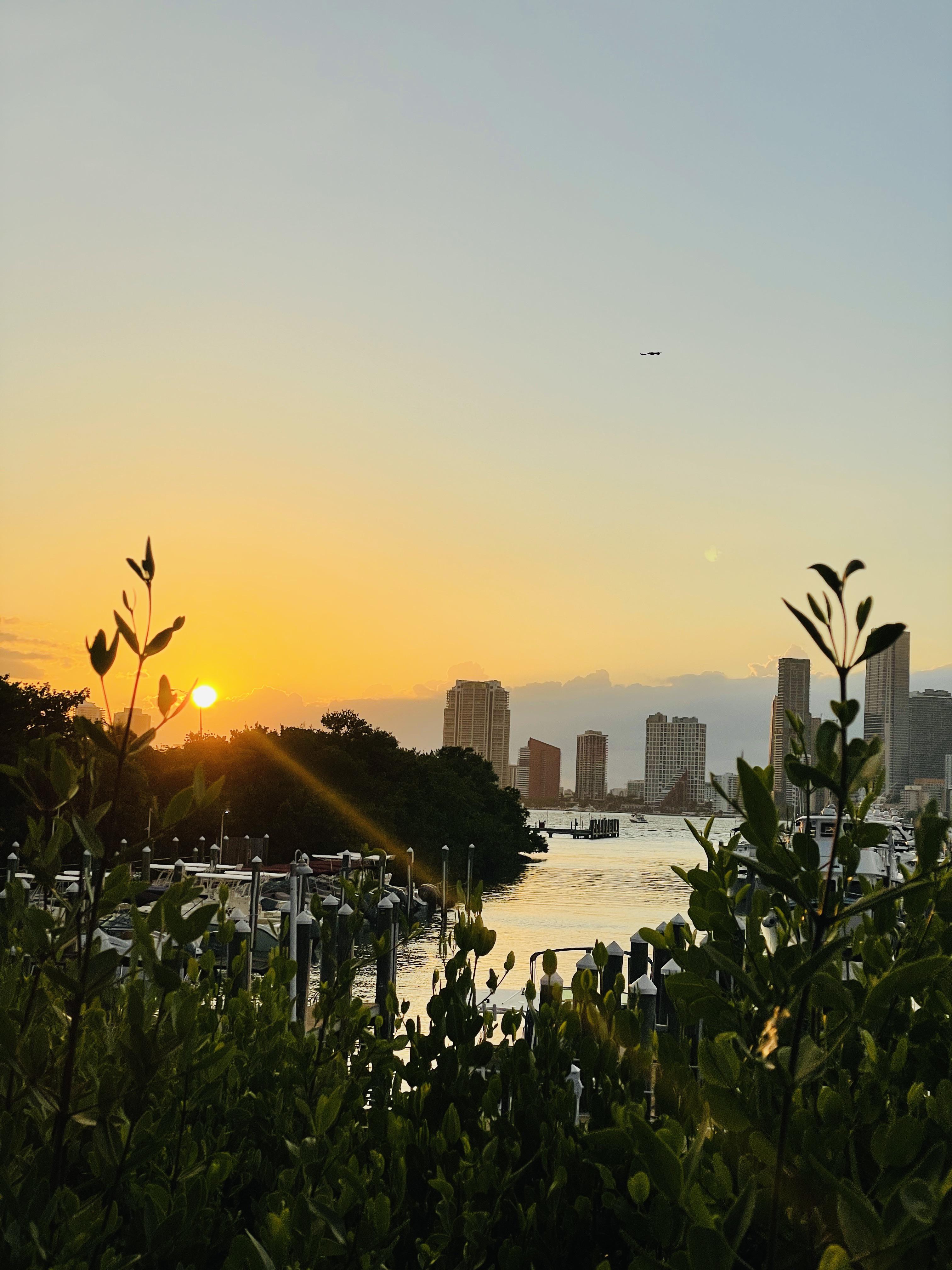 Watching sunset from Virginia Key | Scrolller