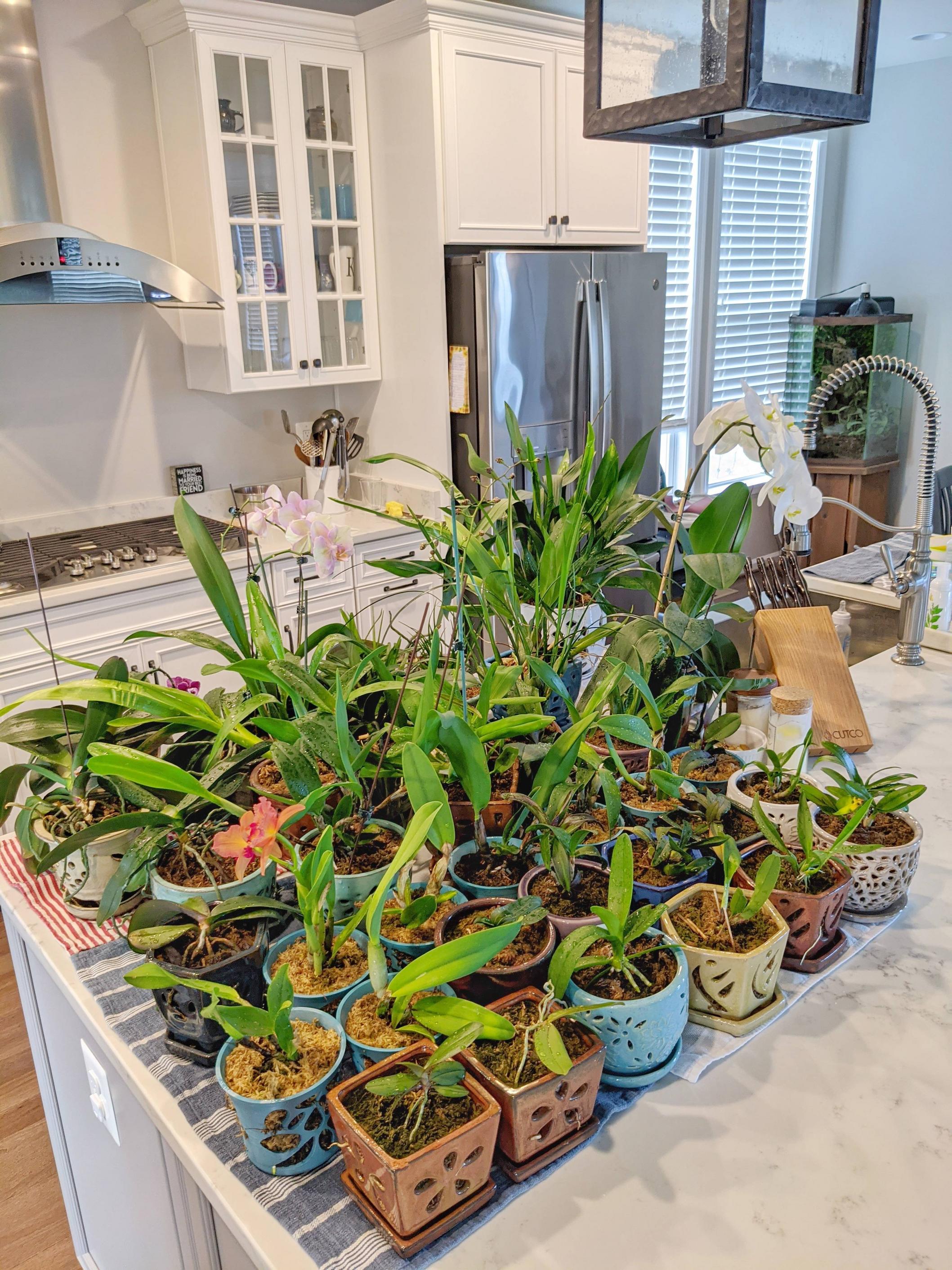 Watering Day | Scrolller