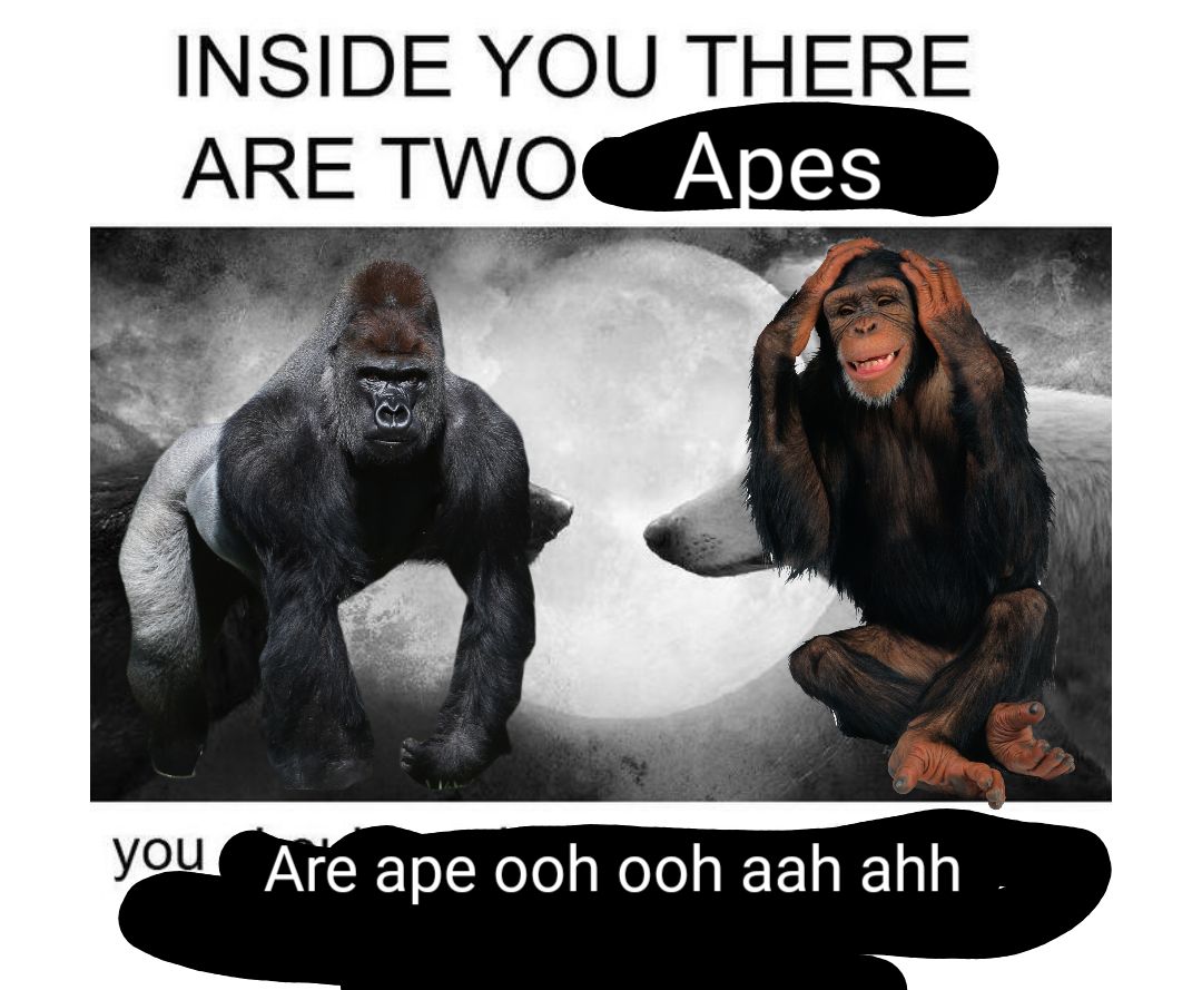 We all apes ooh ooh ah ah | Scrolller