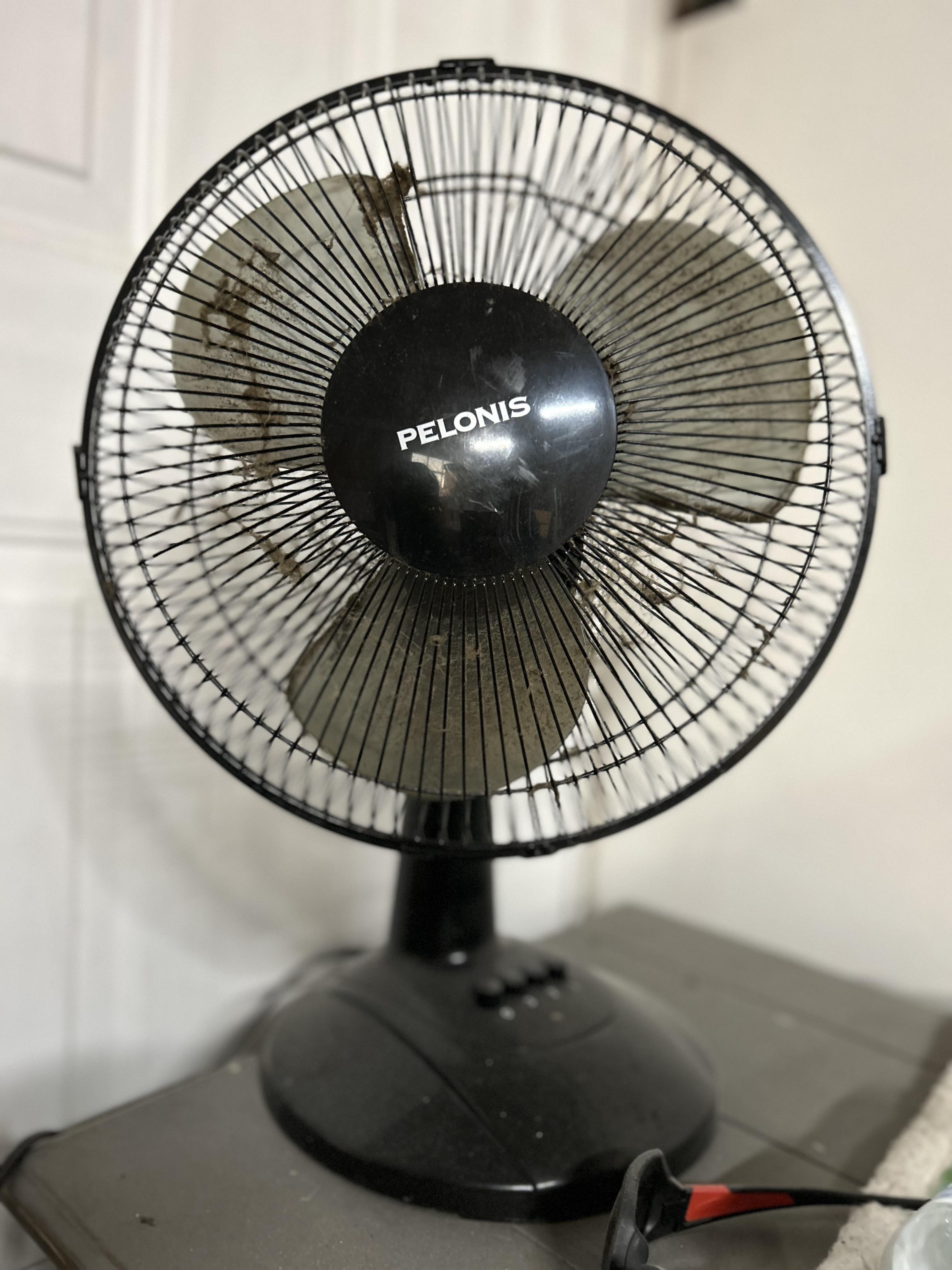 We call her.. dirty diana | Scrolller