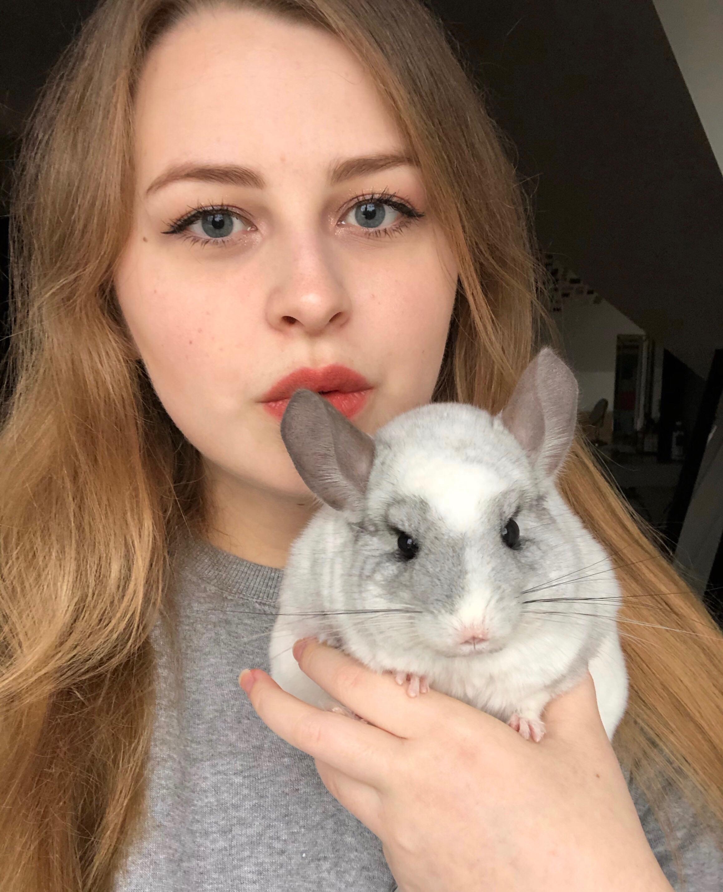 We call him MR. Goose | Scrolller