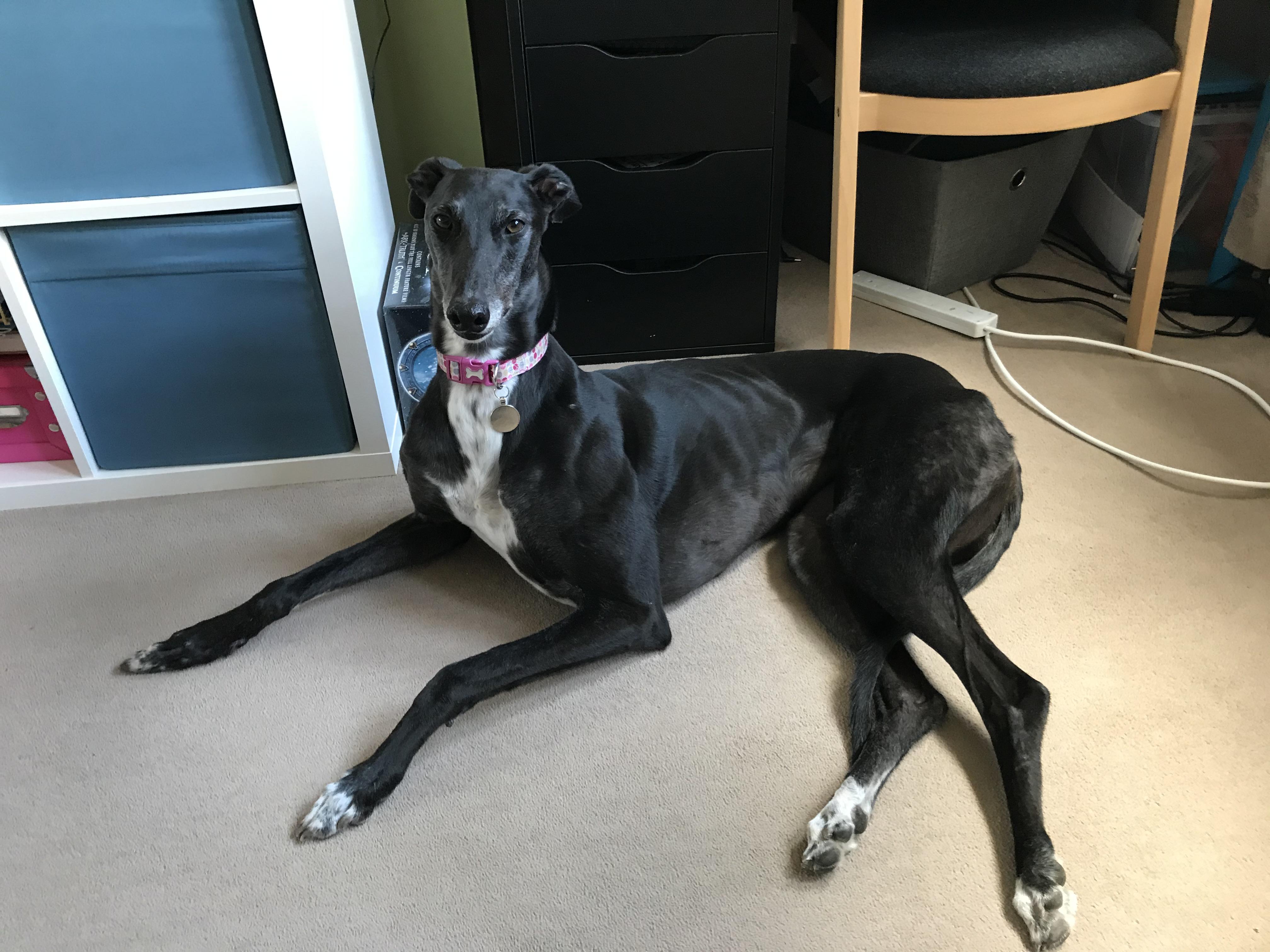 We don’t deserve these beautiful weirdos 🥰 | Scrolller