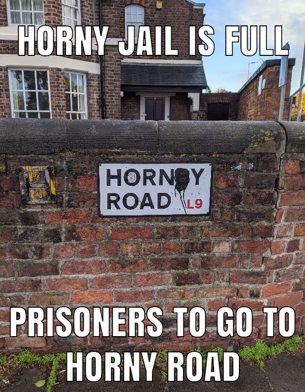 We must relocate | Scrolller