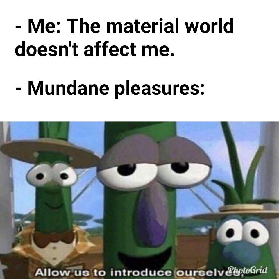 We need more memes. | Scrolller