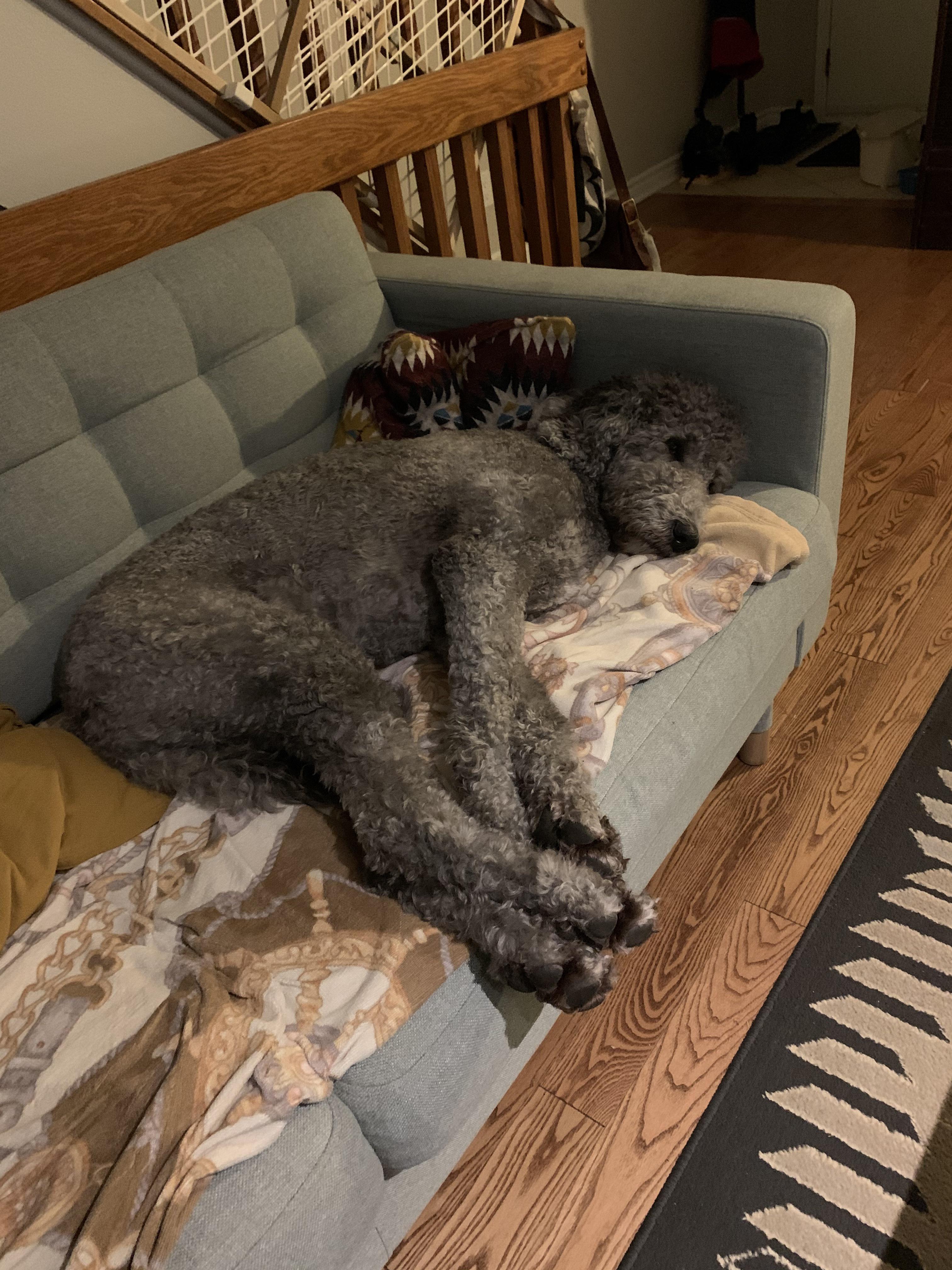 We think he’s contemplating his life. | Scrolller