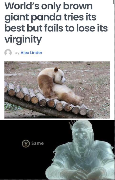 It's a daily struggle | Scrolller