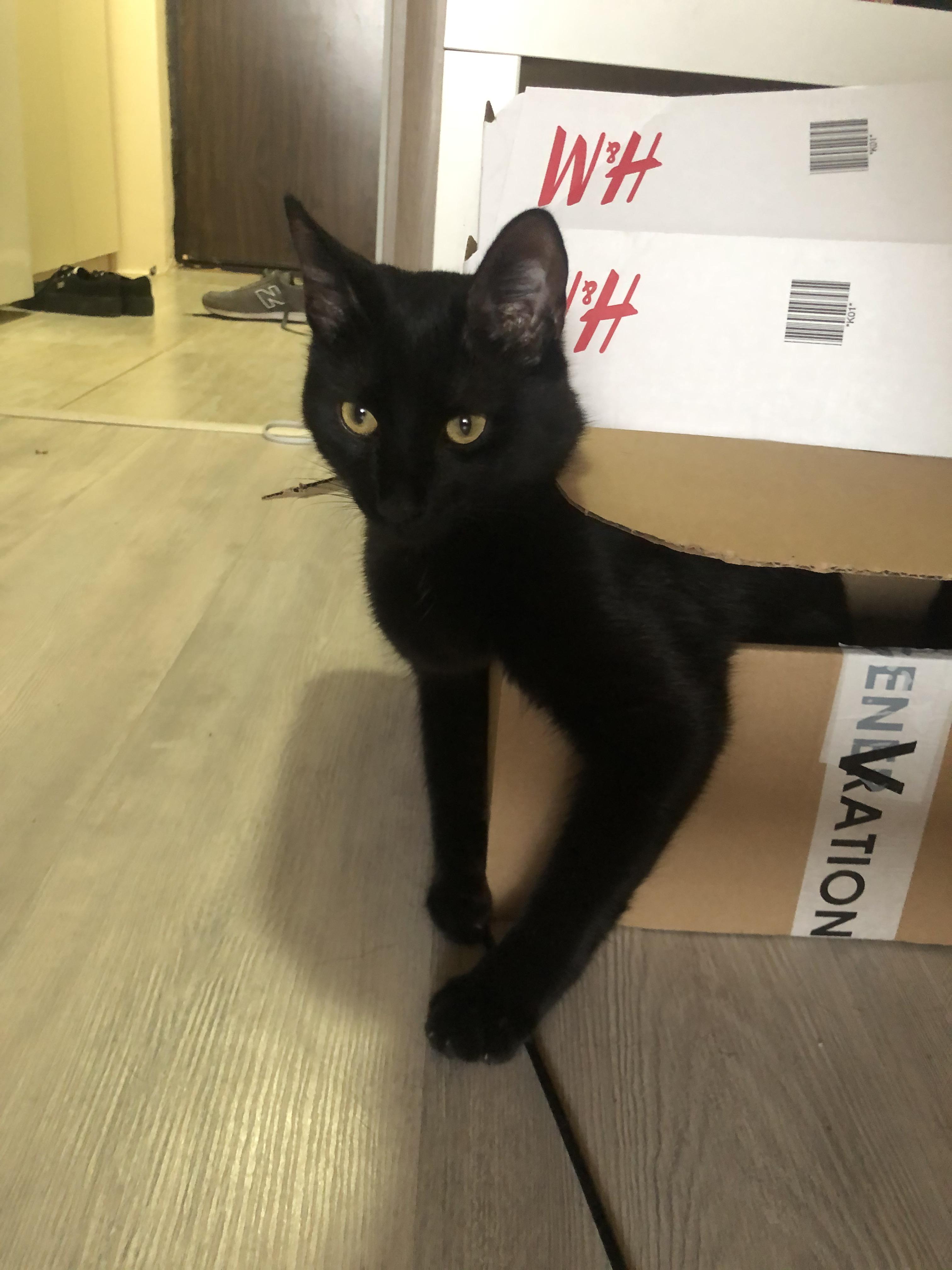 Weird flex, but ok | Scrolller