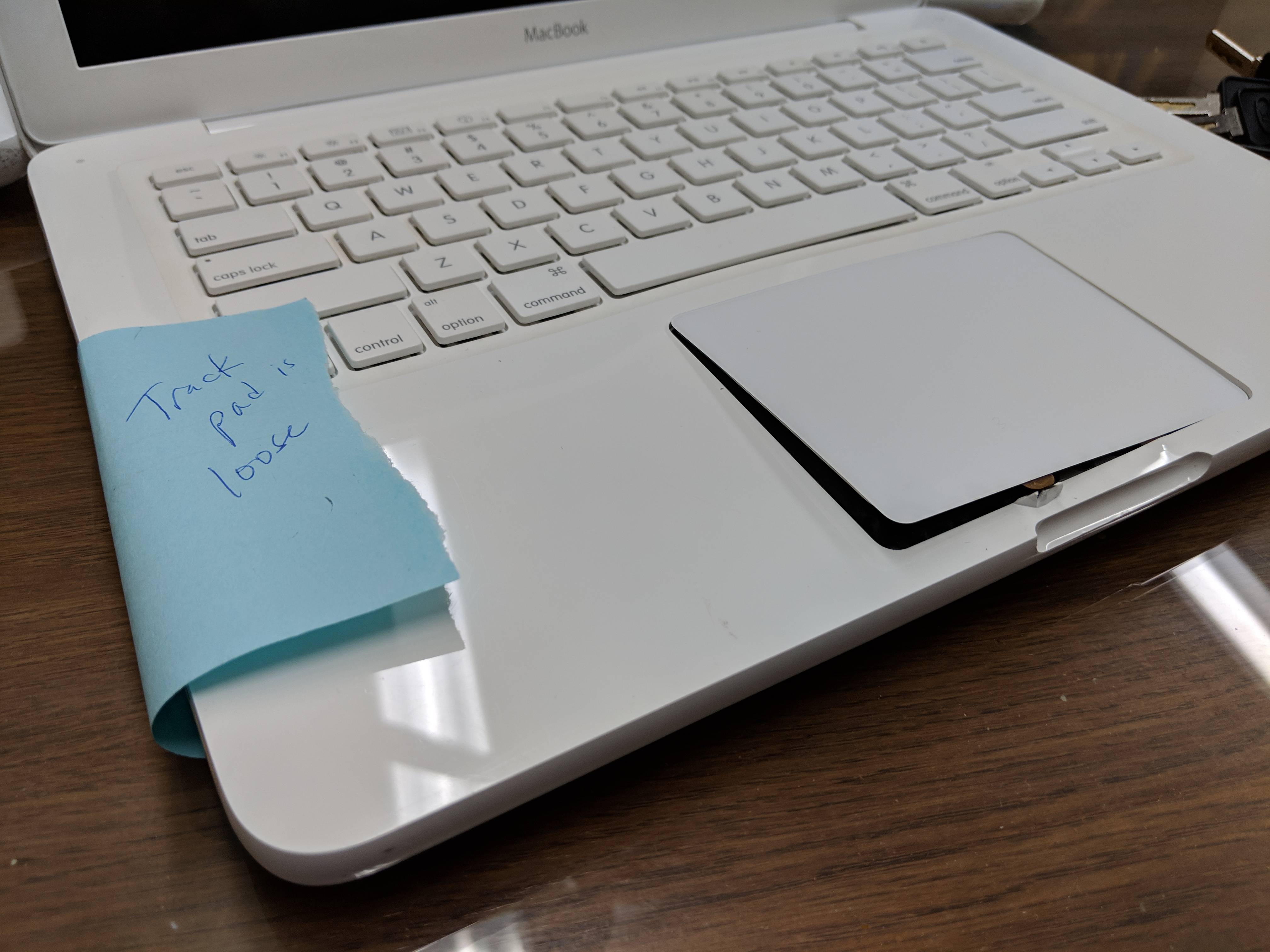 Welcome back from vacation! | Scrolller