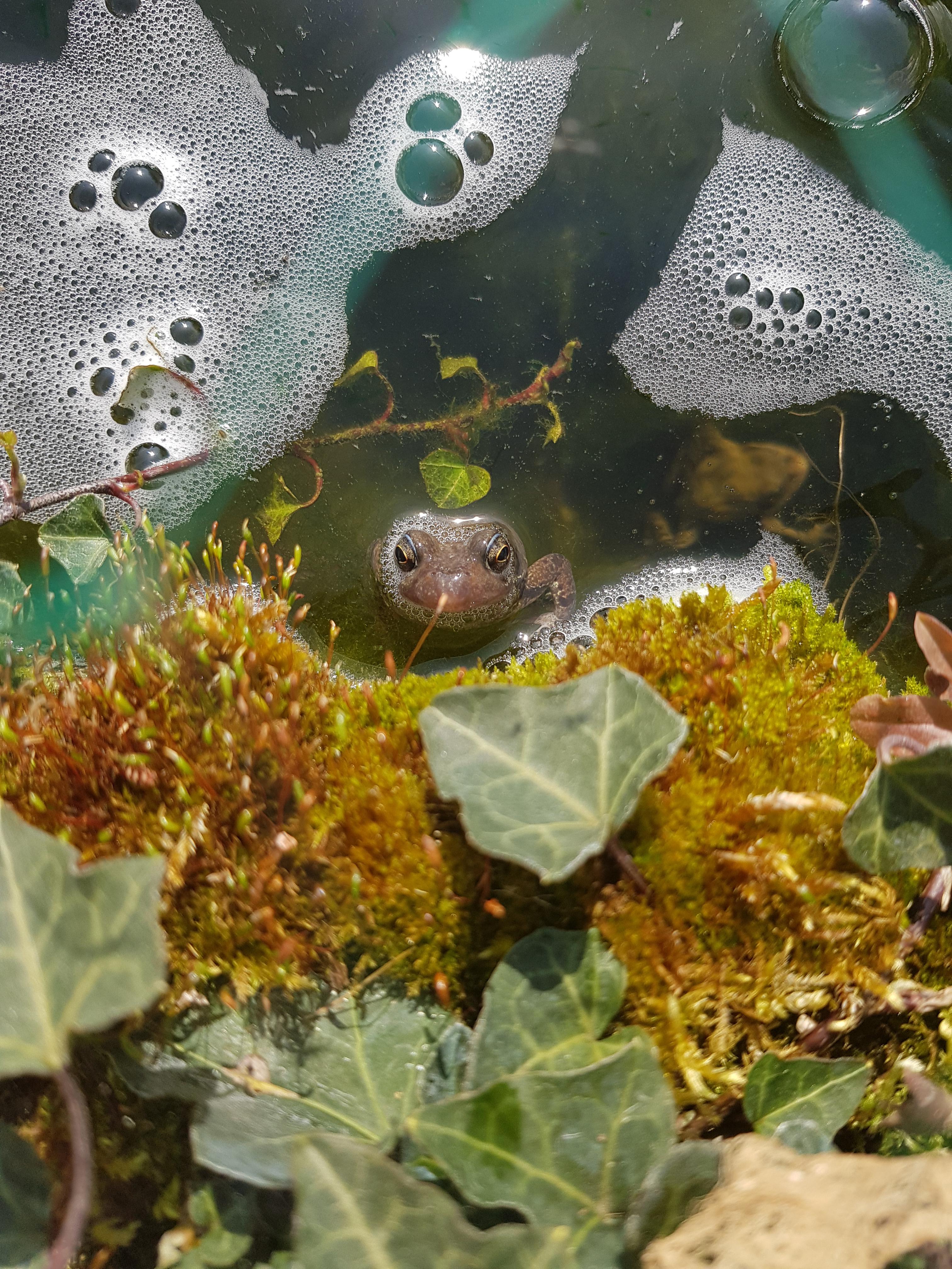 well hello little guy | Scrolller