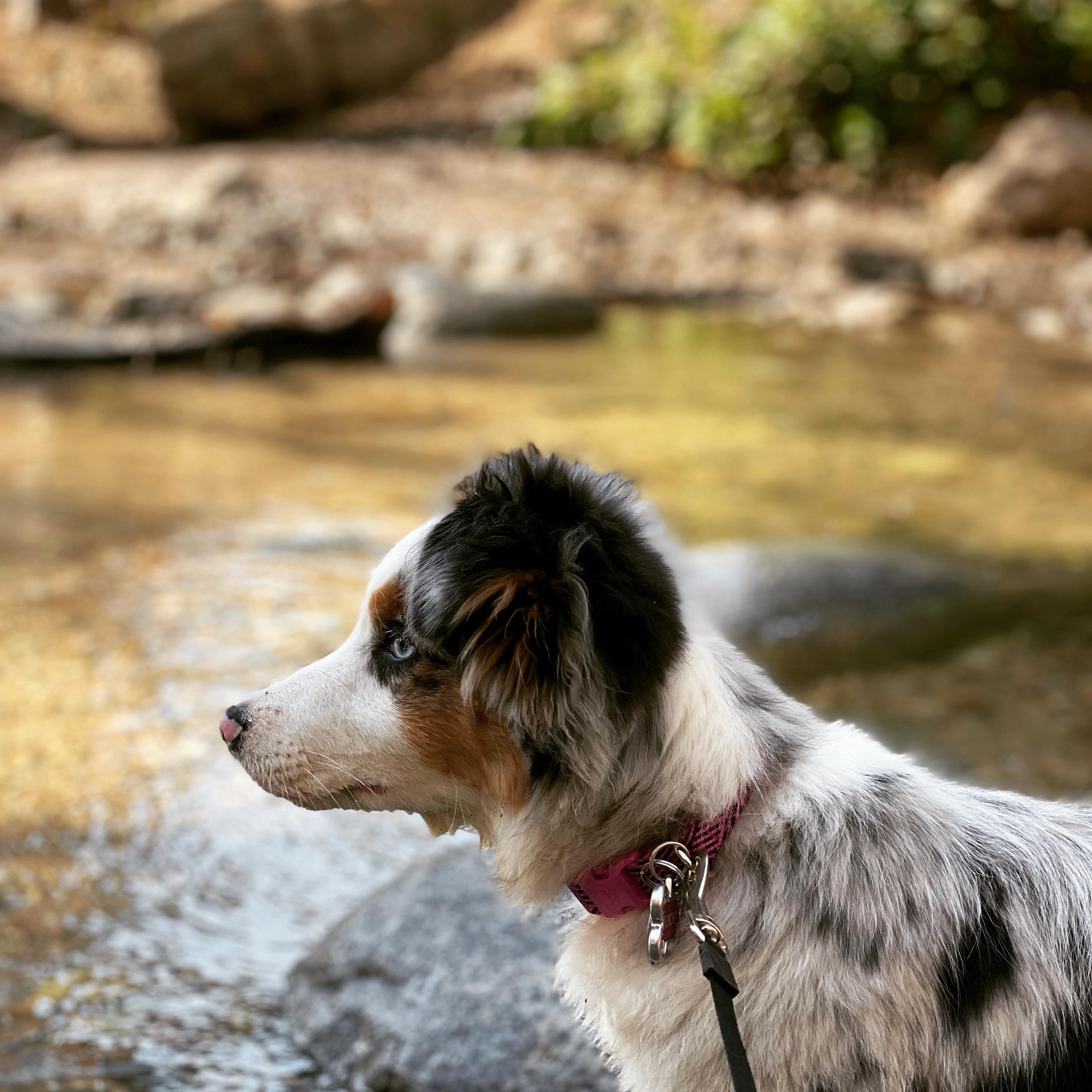 Went on her first hike today | Scrolller