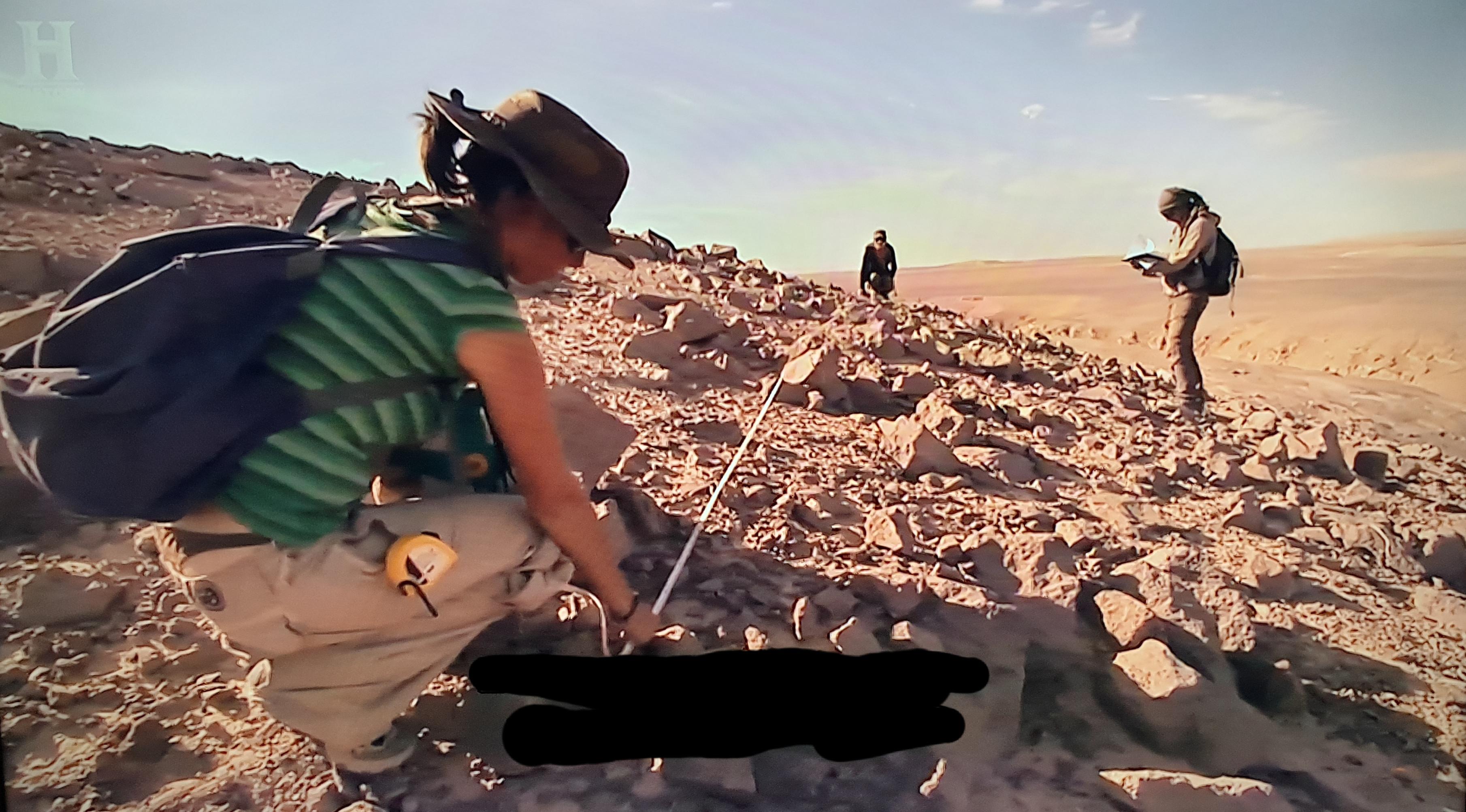 Whaletail in Ancient Aliens s10e05 | Scrolller