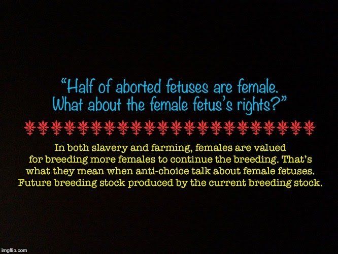 ''What about the female fetuses rights'' | Scrolller
