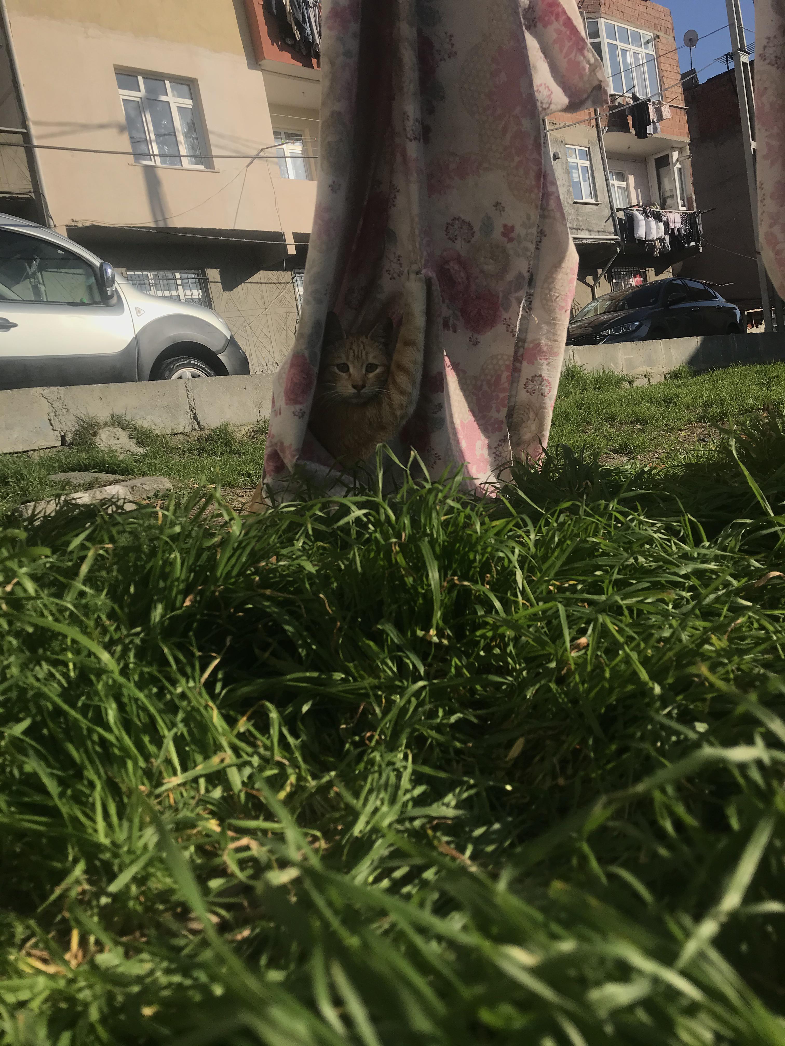 What are you doing:) | Scrolller