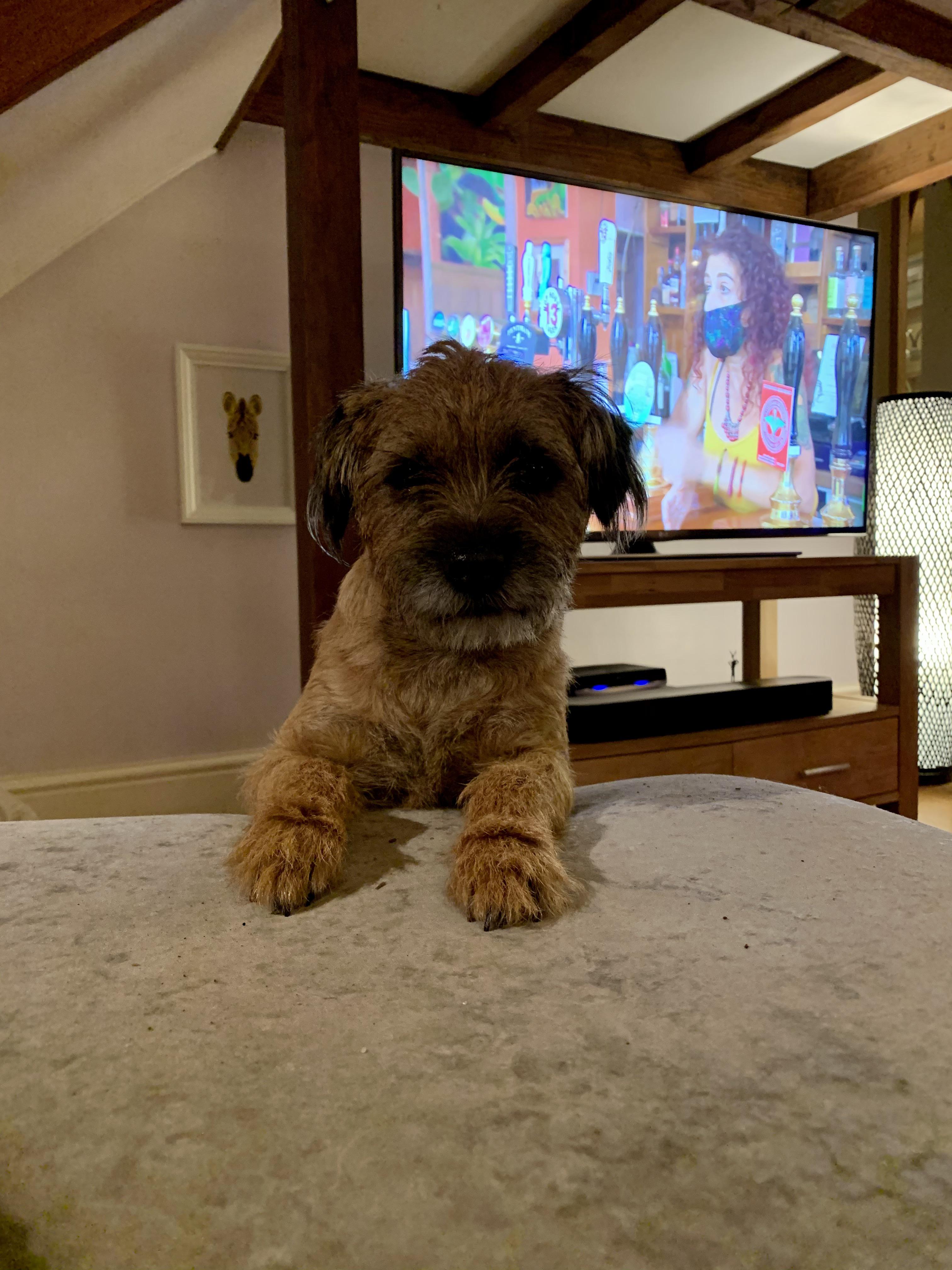 What cha doing? | Scrolller