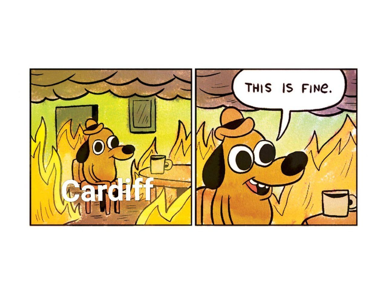 What to in the city in this period | Scrolller