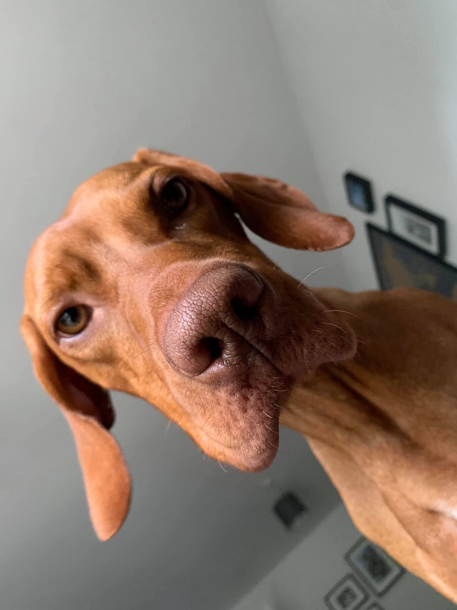 Whatcha doin? | Scrolller