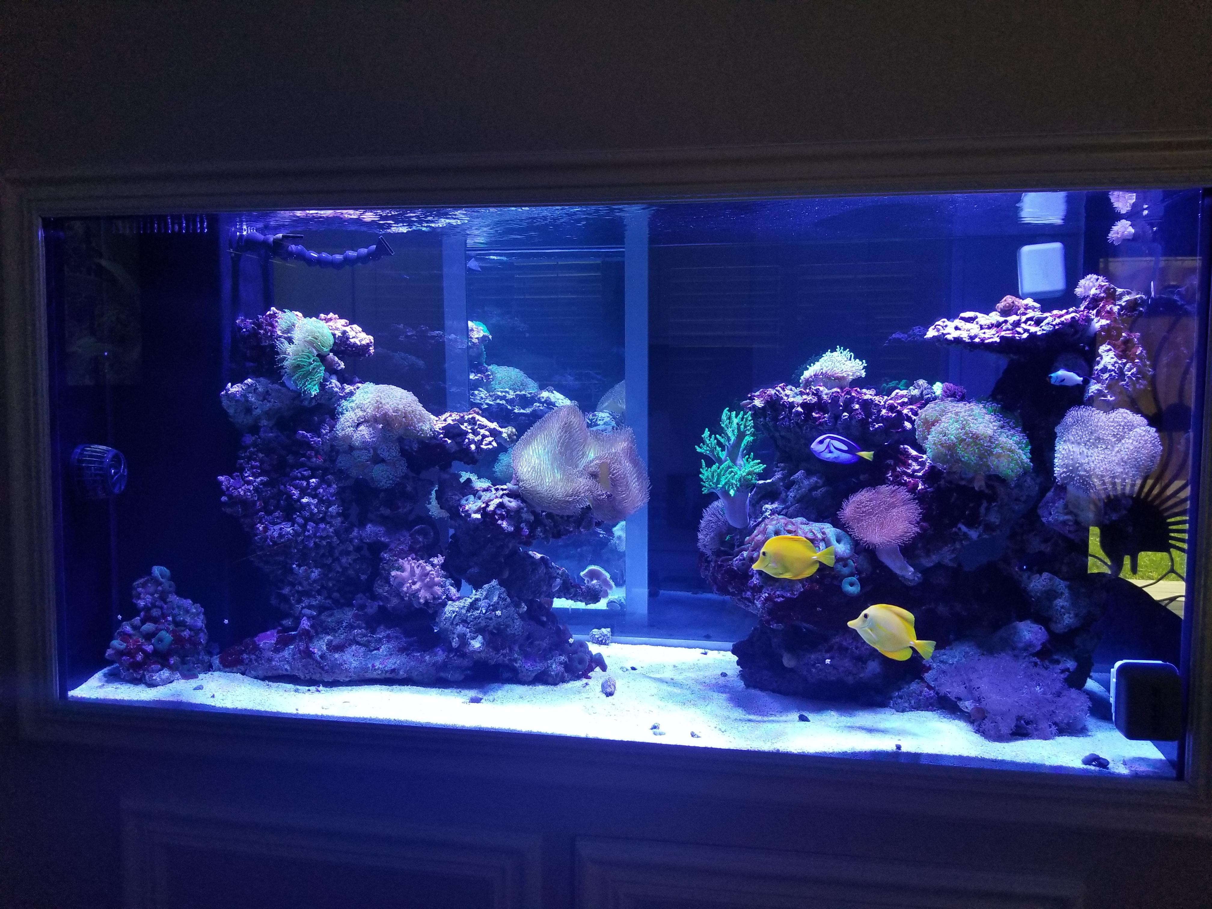 Whatcha think? | Scrolller