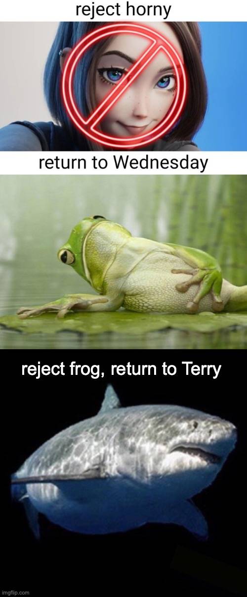 Whatever happened to terry | Scrolller