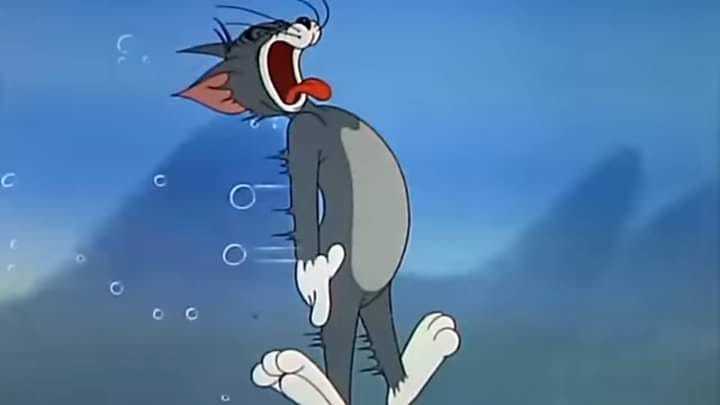 what's your favorite tom and jerry episode? | Scrolller