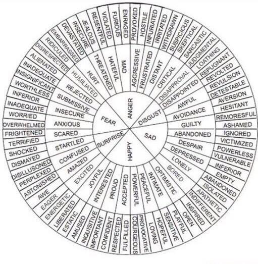 Wheel. Of. Words! | Scrolller