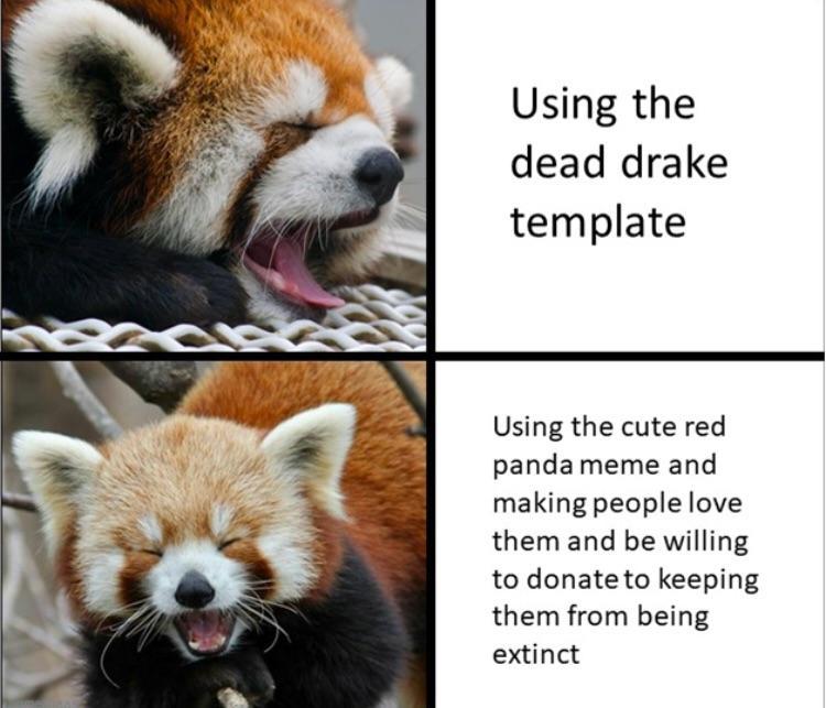 when I see my red pandas being recognized :’D | Scrolller