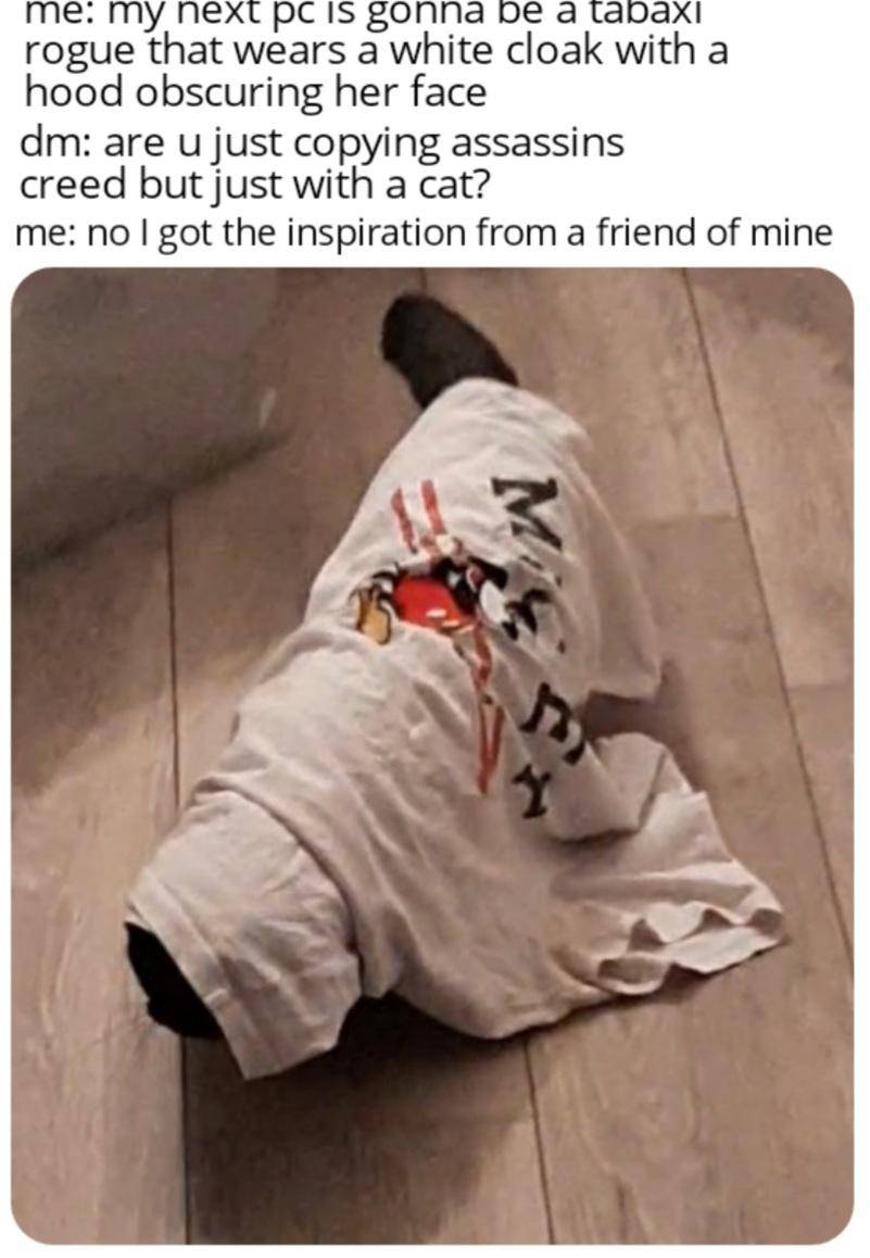 When u roll a nat 1 on stealth | Scrolller