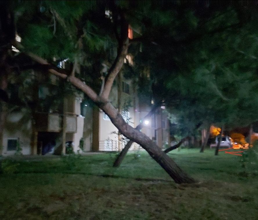 when you play hellblade too much and go outside | Scrolller