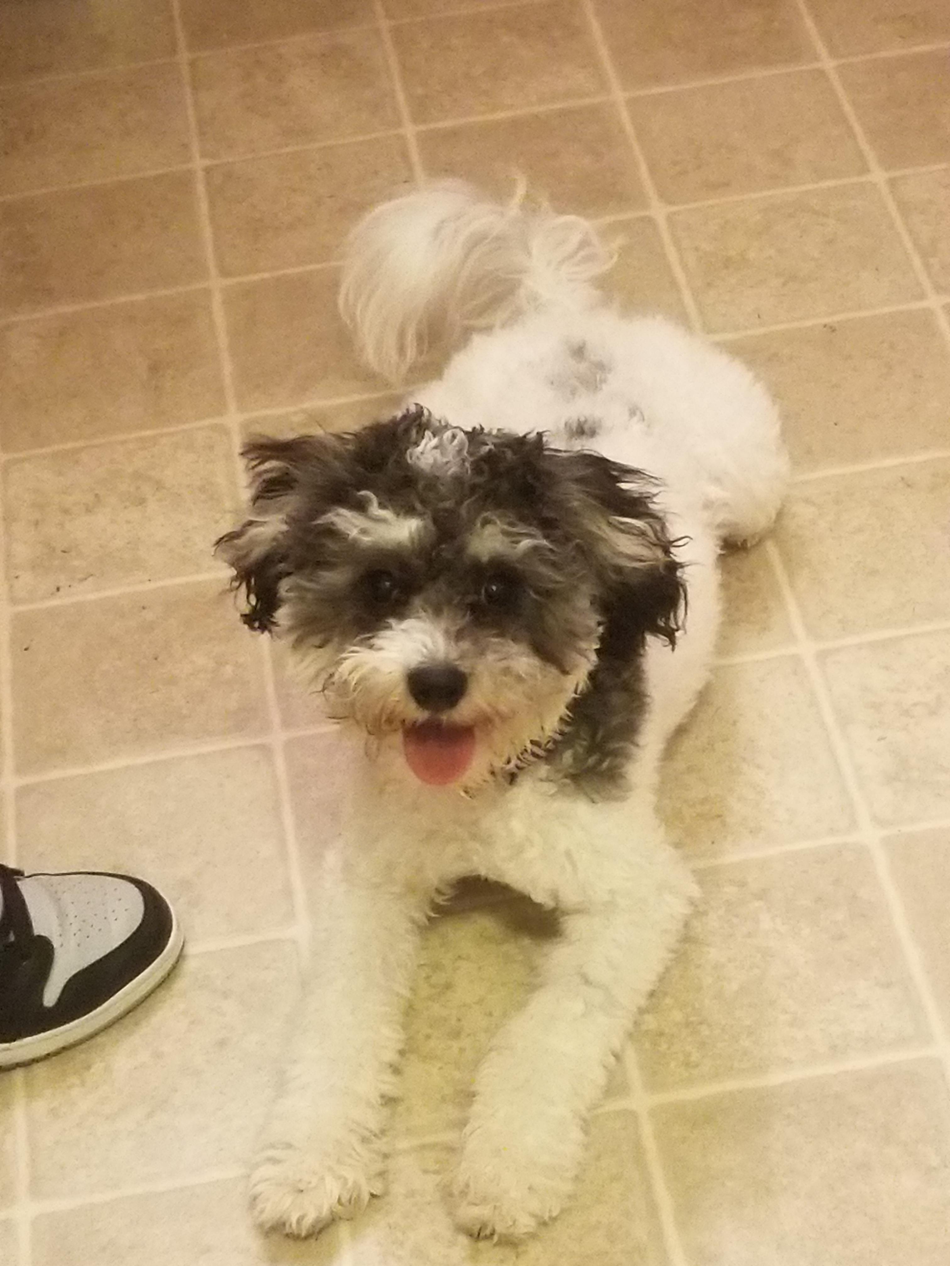 When you realize it's Taco Tuesday... | Scrolller