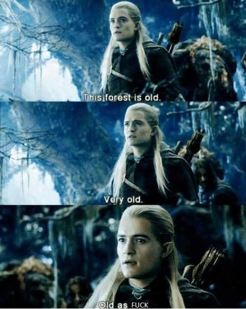 When you walk into the forest while tripping | Scrolller