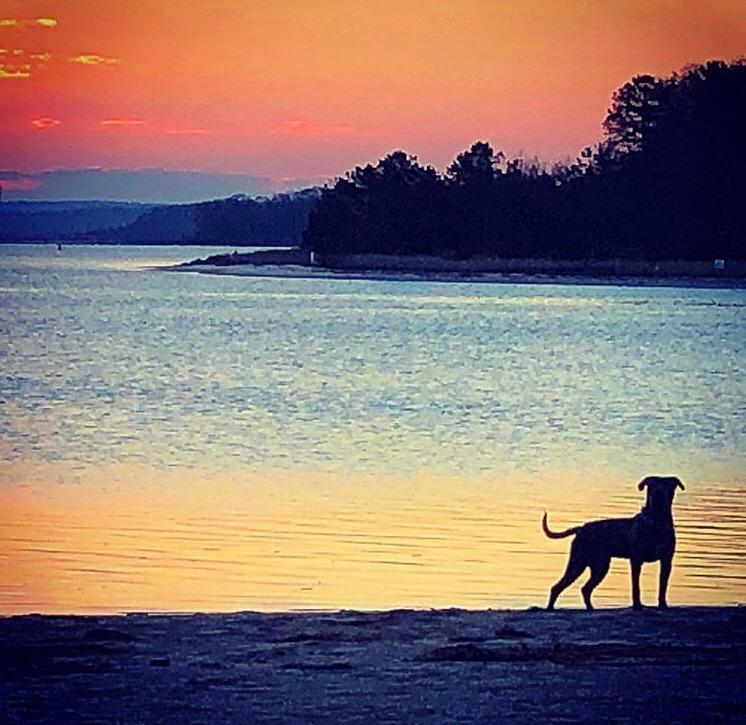 When your boy is a supermodel #Cosmo | Scrolller