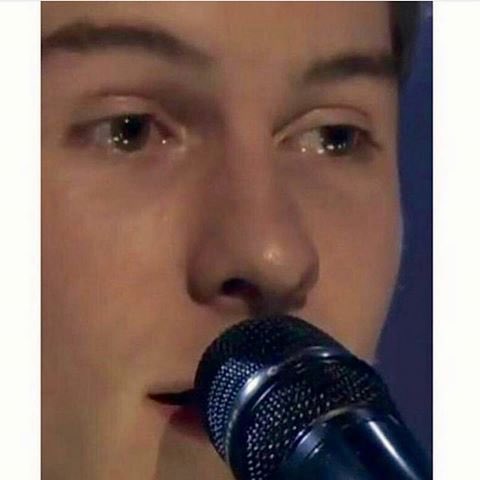 Which do you think is the most underrated Shawn Mendes song? | Scrolller