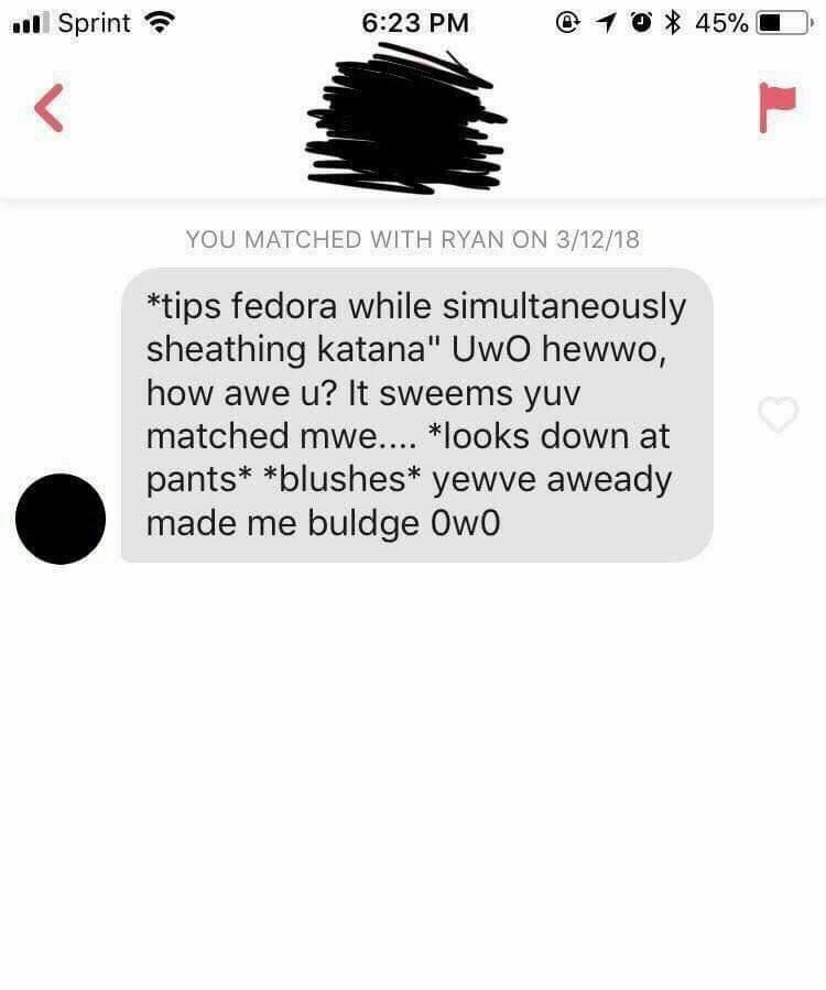 While traversing the interweb for your waifu, you come across another ...