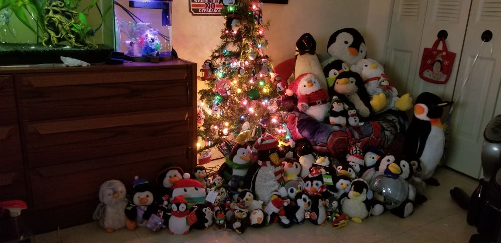 While were doing family posts. Here is most of my waddle | Scrolller