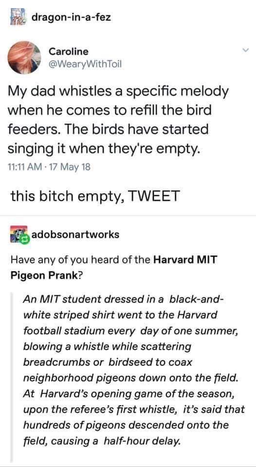 Whistling madlad | Scrolller