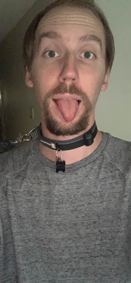 Who wants to see this pup wearing nothing but his collar | Scrolller