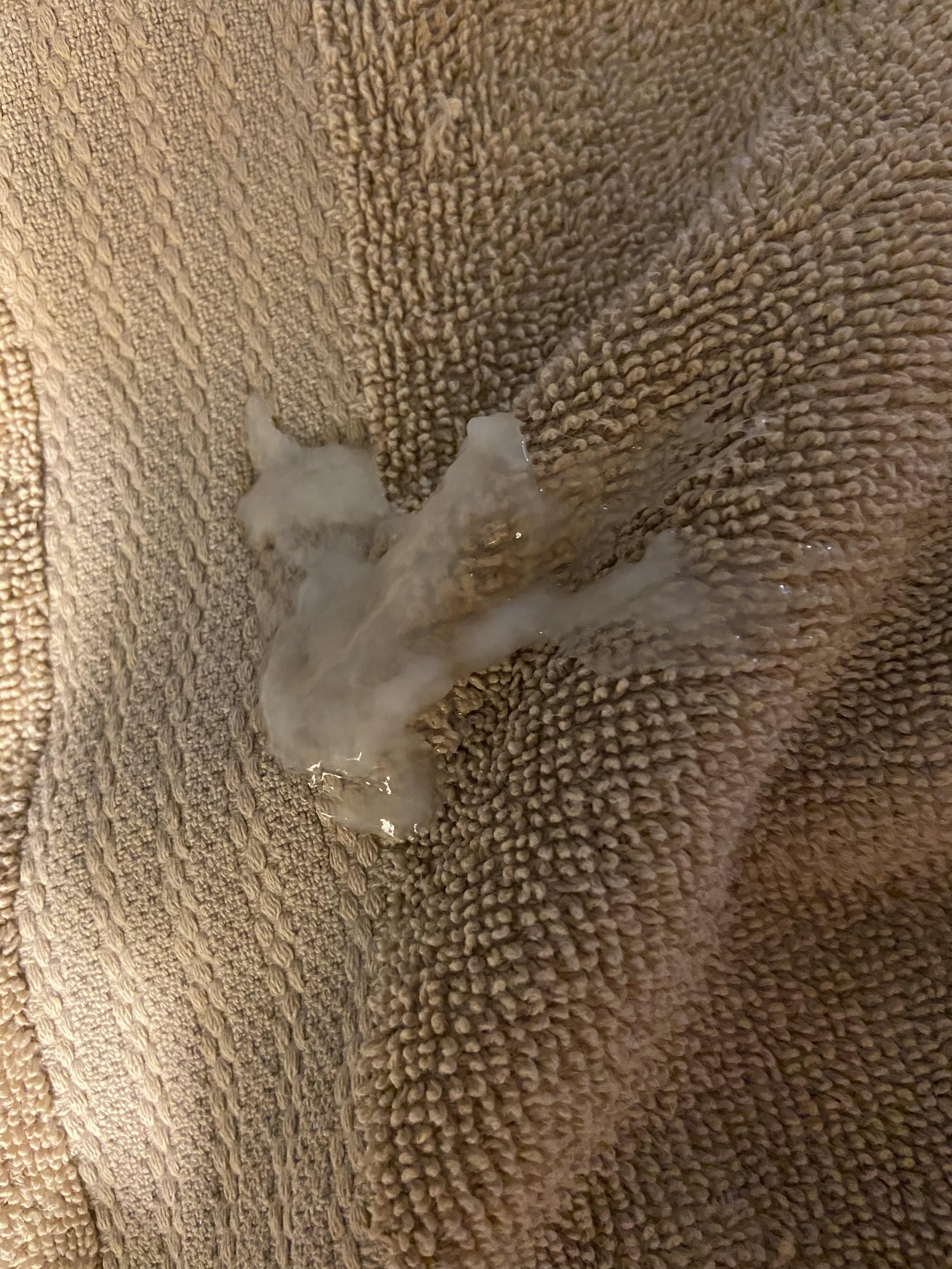 Whoops 😬 | Scrolller