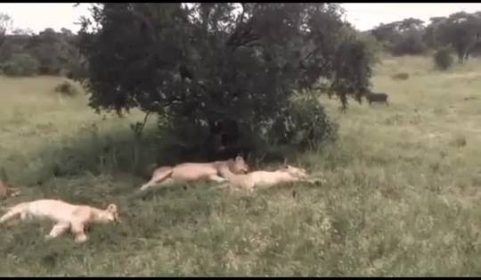 “Whoops, wrong turn” | Scrolller