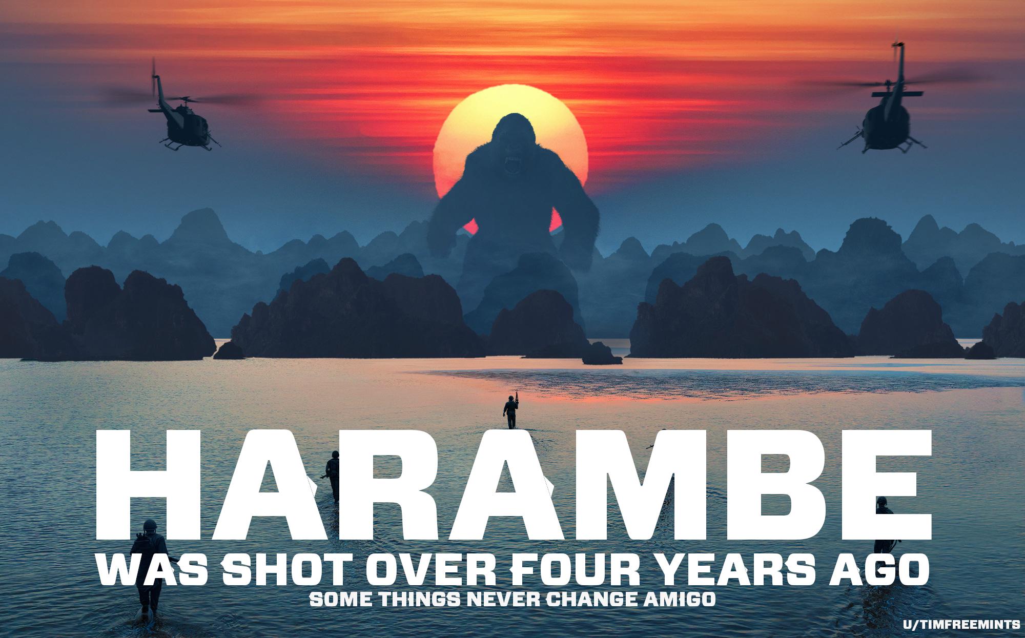 Why do I still remember Harambe | Scrolller