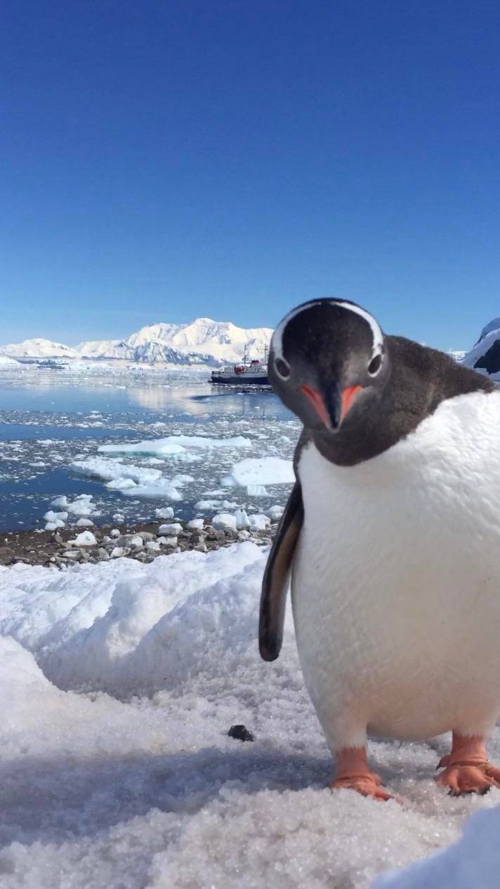 Why hello there | Scrolller